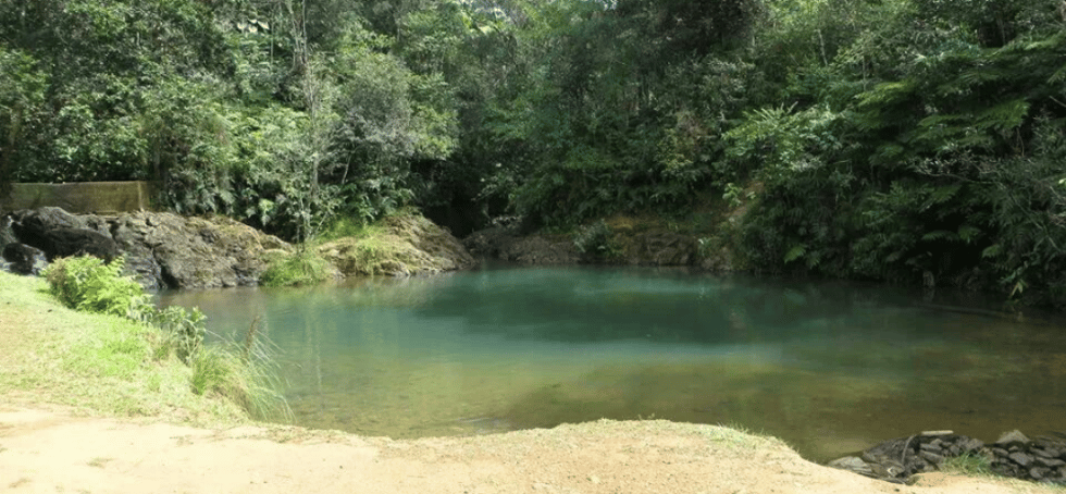 Charco Azul y Deportivo San Benito en Juárez Nuevo León - Blog Sadasi